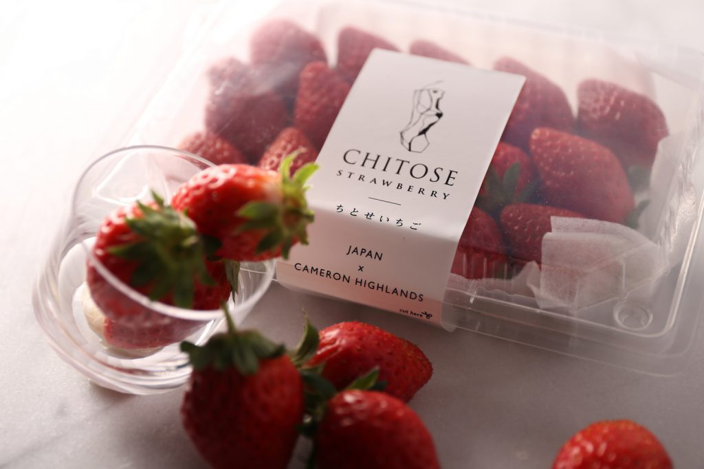 Malaysia made “Japanese Quality Strawberries” seek to build the future ...