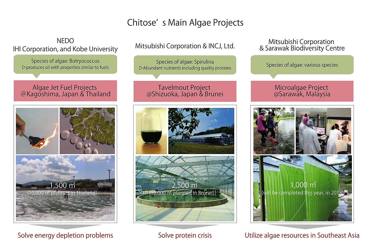 The Strength in Chitose’s Algae Business Volume 2: Chitose’s Algae ...