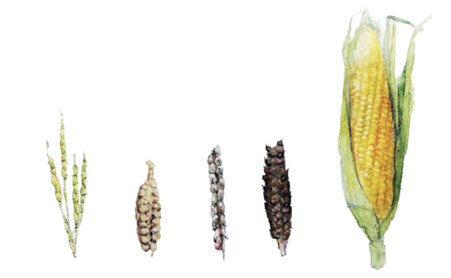 我々が追求していること – CHITOSE JOURNAL